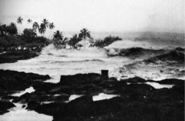 Know Natures Warning Signs | Pacific Tsunami Museum